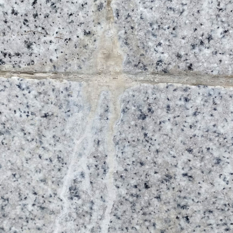 Limpiador Deterg-A Azichem: elimina manchas de salitre, cal, musgos y otra vegetación Envase ...